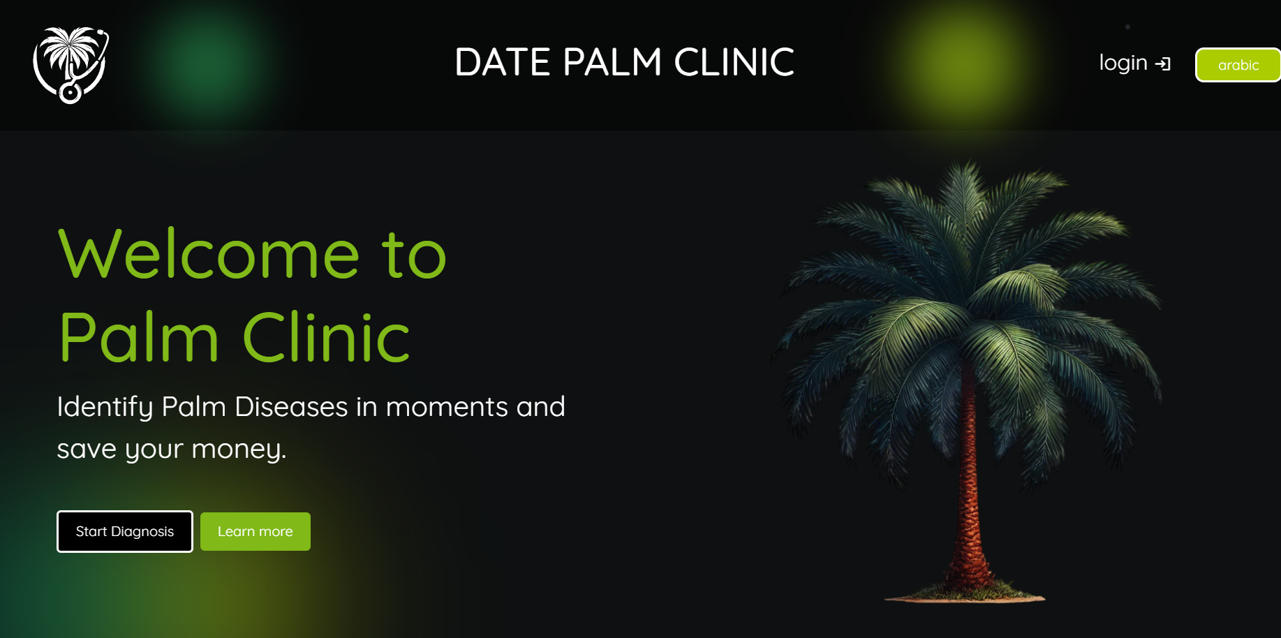 Mohamed Abd-elrahman | Portfolio